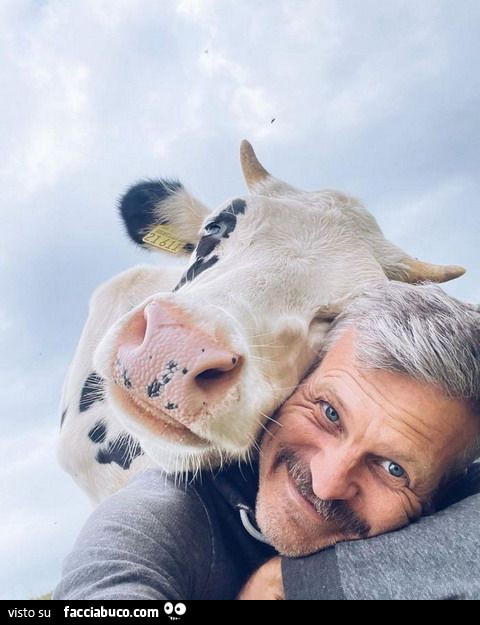 A forza di scrivere vaccate si e' affezionata ?… - Facciabuco.com