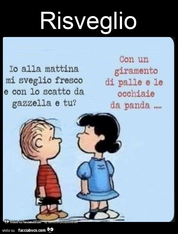 Memes Disegnati - Facciabuco.com