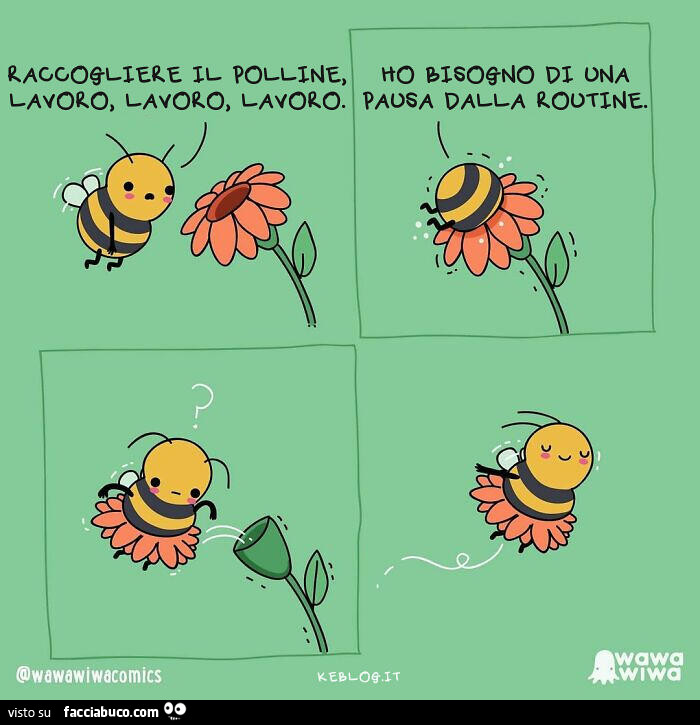 Api che si prendono una pausa dalla routine del lavoro - Facciabuco.com