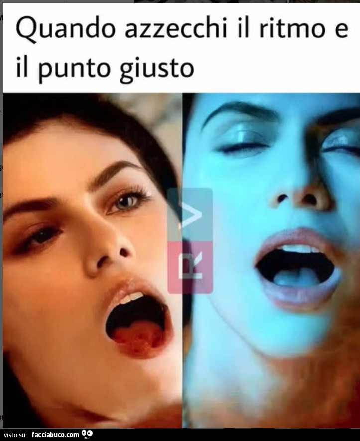 Vaccate Erotiche - Facciabuco.com