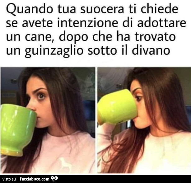 Vaccate Erotiche - Facciabuco.com