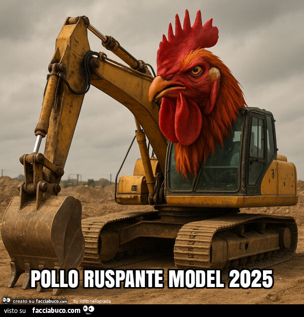 Pollo ruspante model 2025 - Facciabuco.com